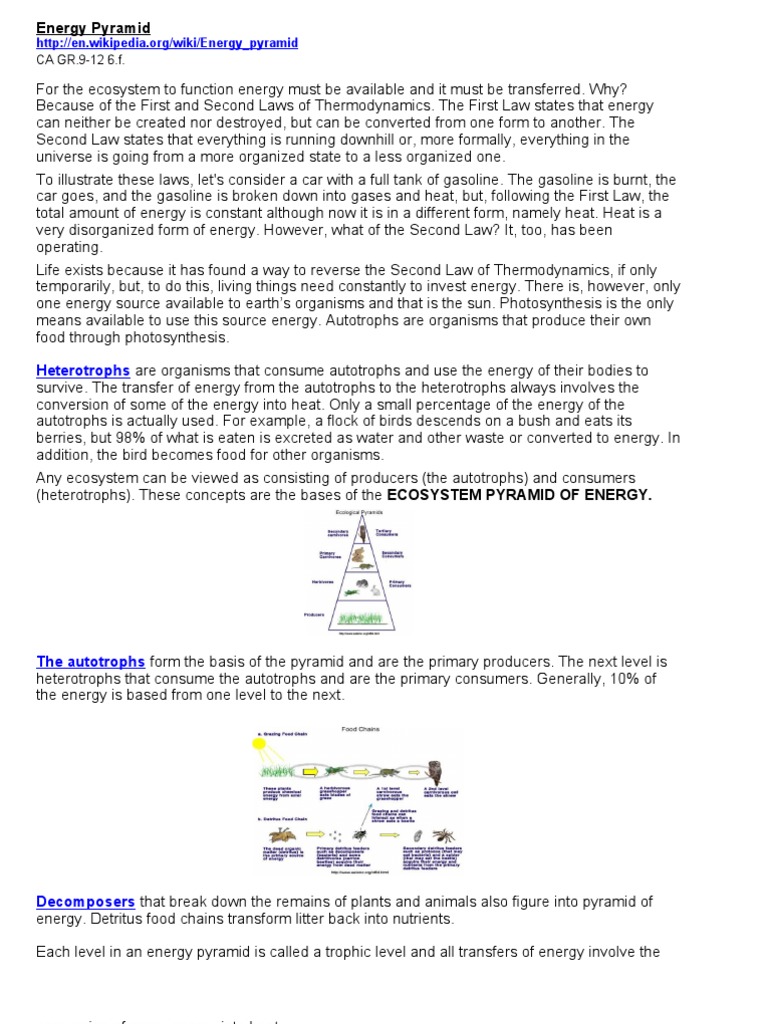 Energy Pyramid | PDF | Food Web | Systems Biology