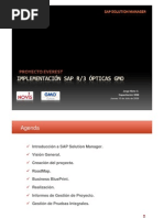 Manual Soamanager | PDF