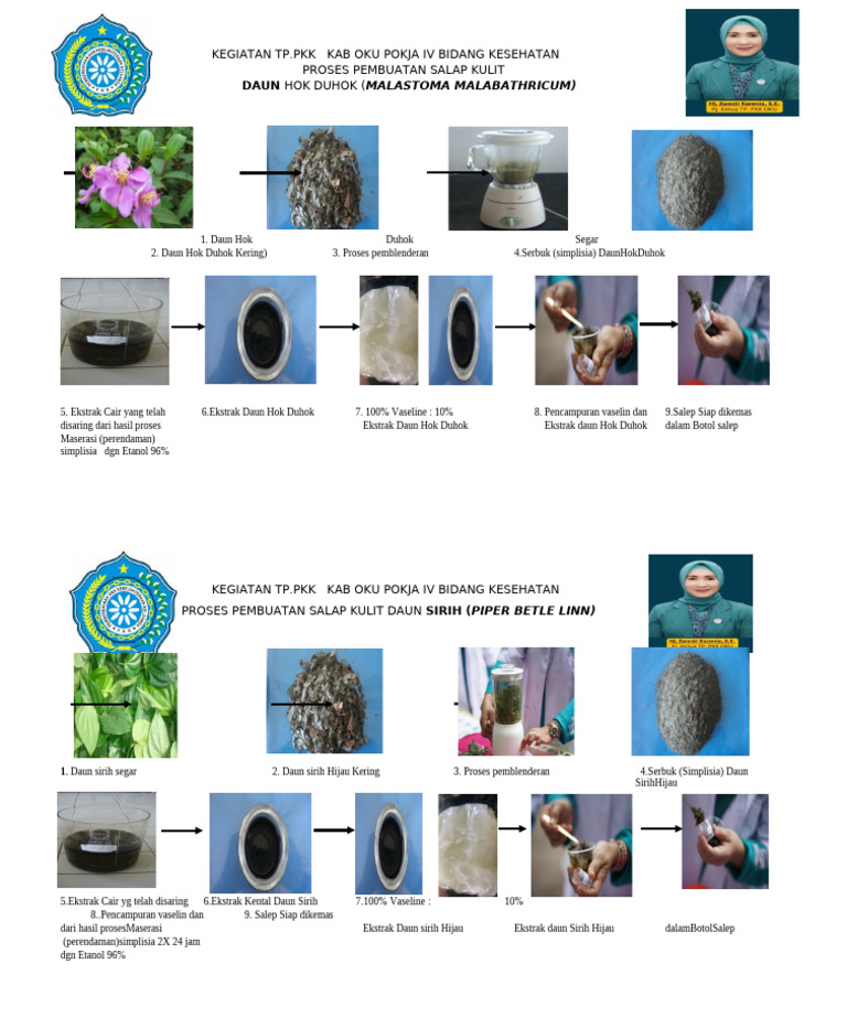 Proses Pembuatan Salap Kulit Daun Hok Duhok Dan Daun Sirih | PDF