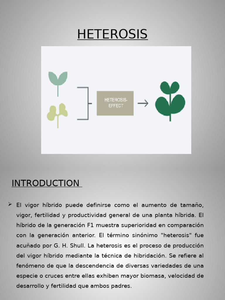 Heterosis: Vigor Híbrido en Plantas | PDF | Epistasis | Dominancia ...