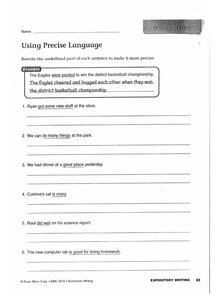 Using Precise Language | PDF