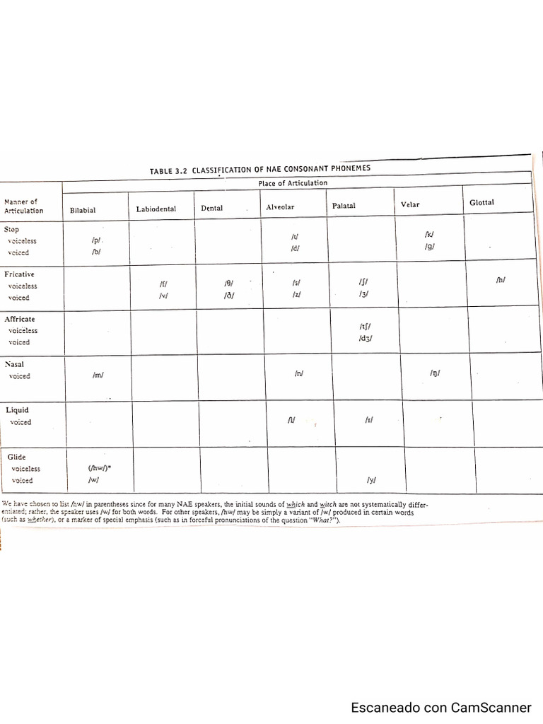 Consonants Chart | PDF