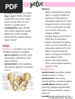 Pelve e Períneo | PDF | Pélvis | Anatomia