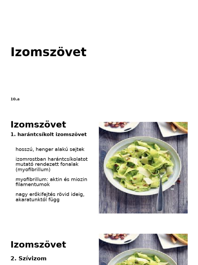 Izom És Idegszövet | PDF