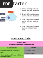Specialised Animal Cells - Living Organisms - KS3 Biology - BBC ...