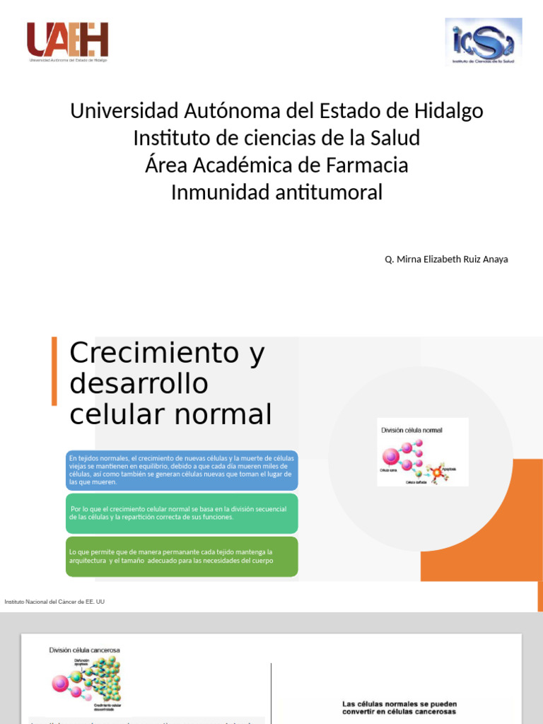 Inmunidad Antitumoral | PDF | Célula T | Gen supresor de tumores