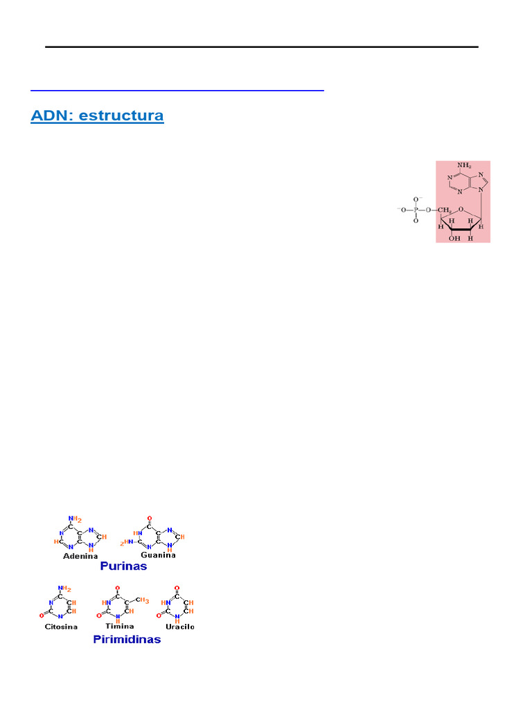 Material #3. Biología CSGAO. ADN, Nucleoide y Núcleo Celular, Ciclo ...