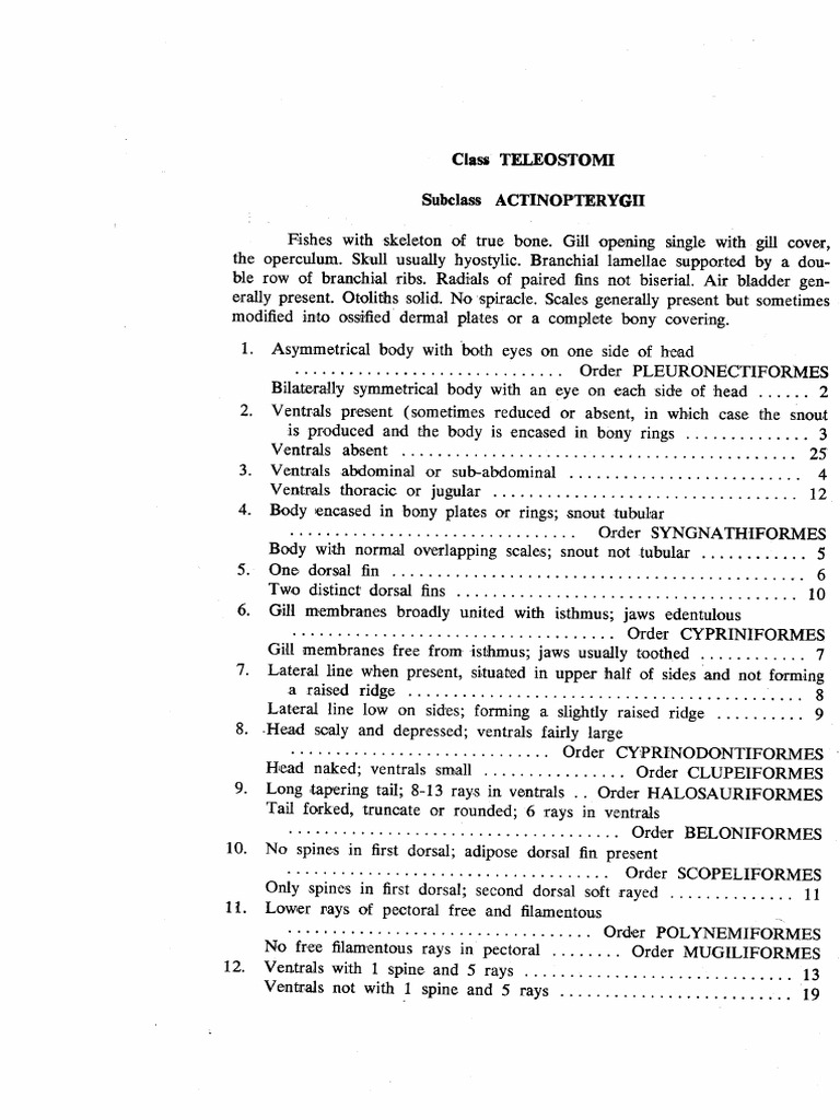 562 Fishes of Laccadive Teleostomi 5 | PDF | Fish