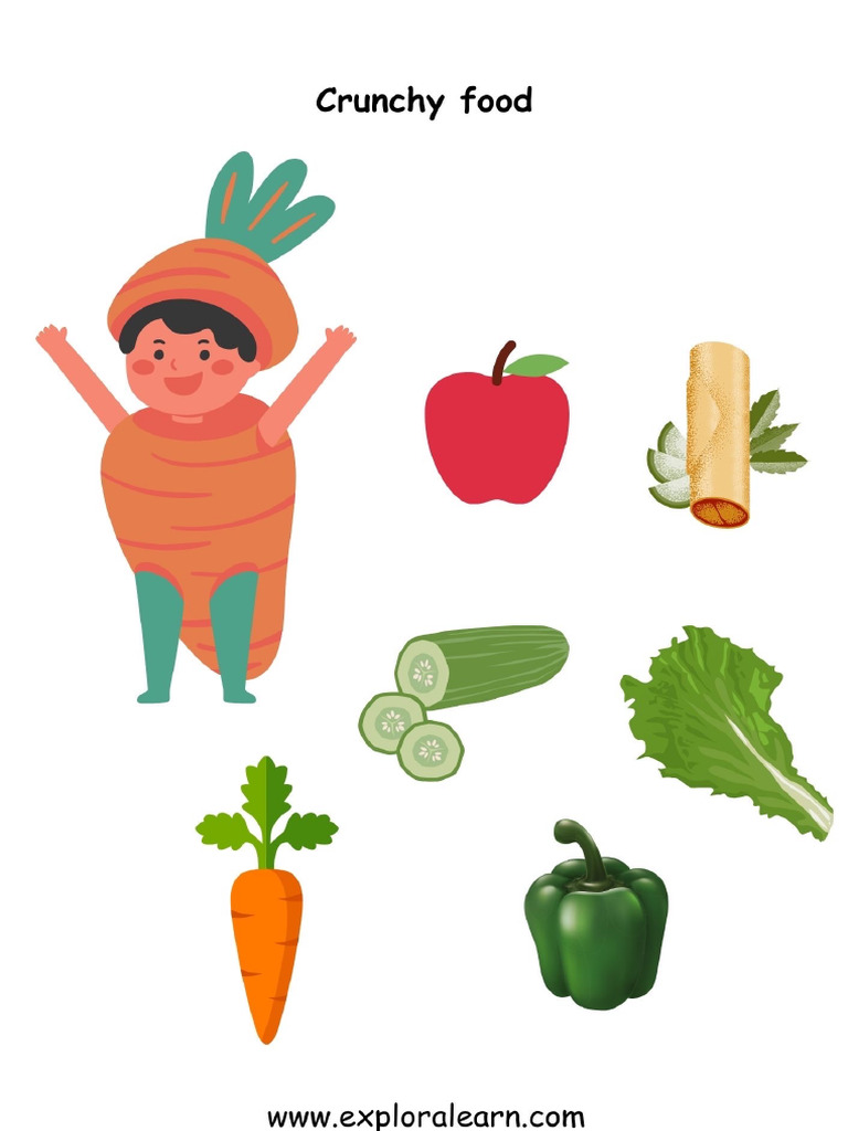 Types of Food 1 | PDF