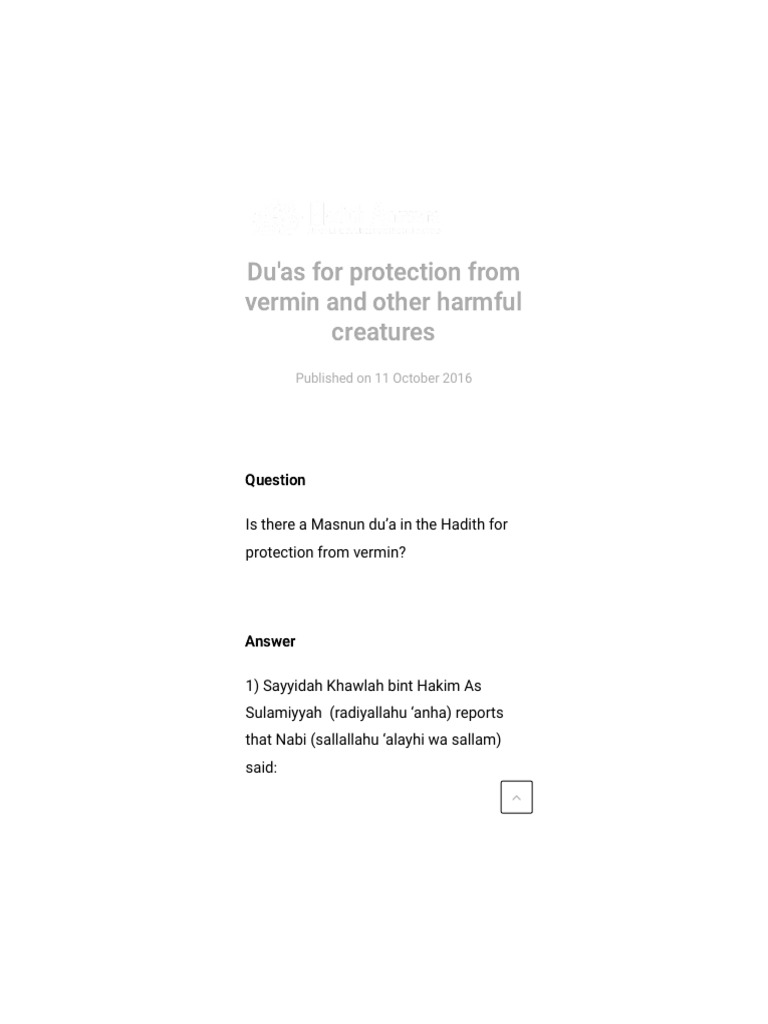 Du'as For Protection From Vermin and Other Harmful Creatures - Hadith ...
