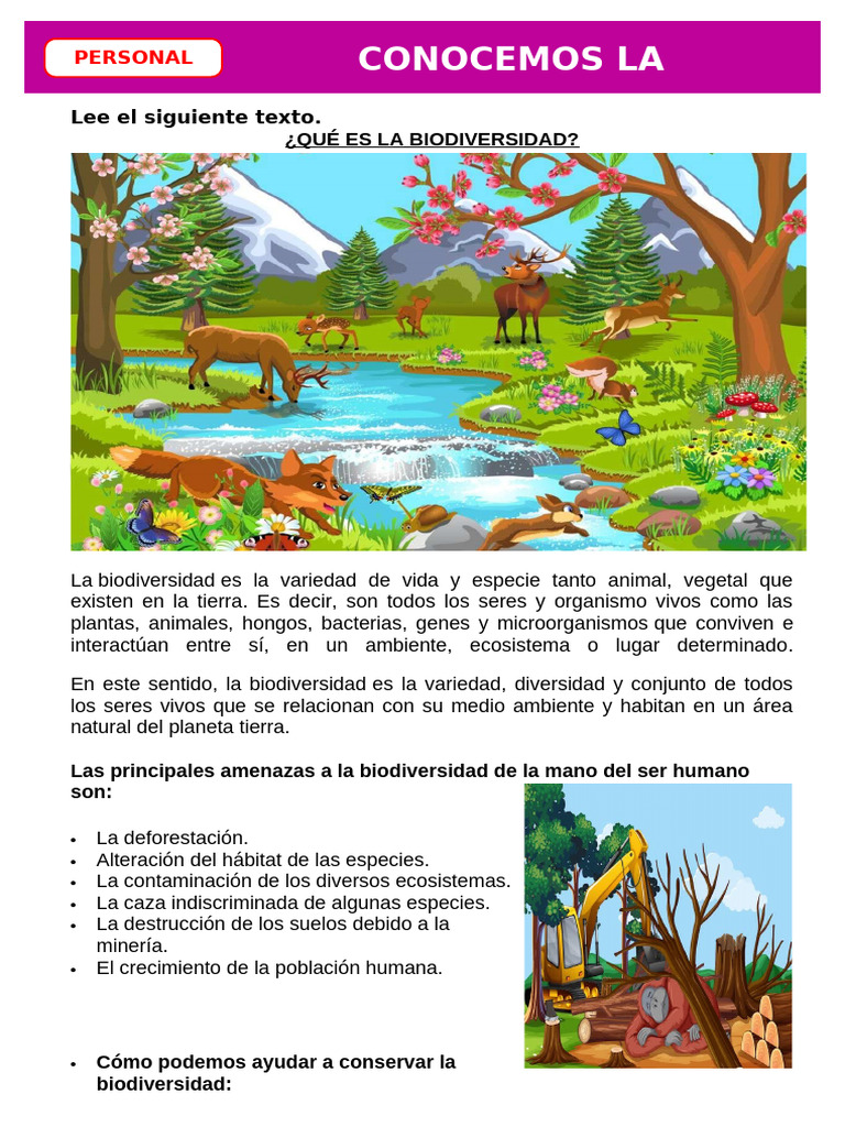 D1 A2 FICHA PS. Conocemos Nuestra Biodiversidad | PDF | Biodiversidad | Ecosistema