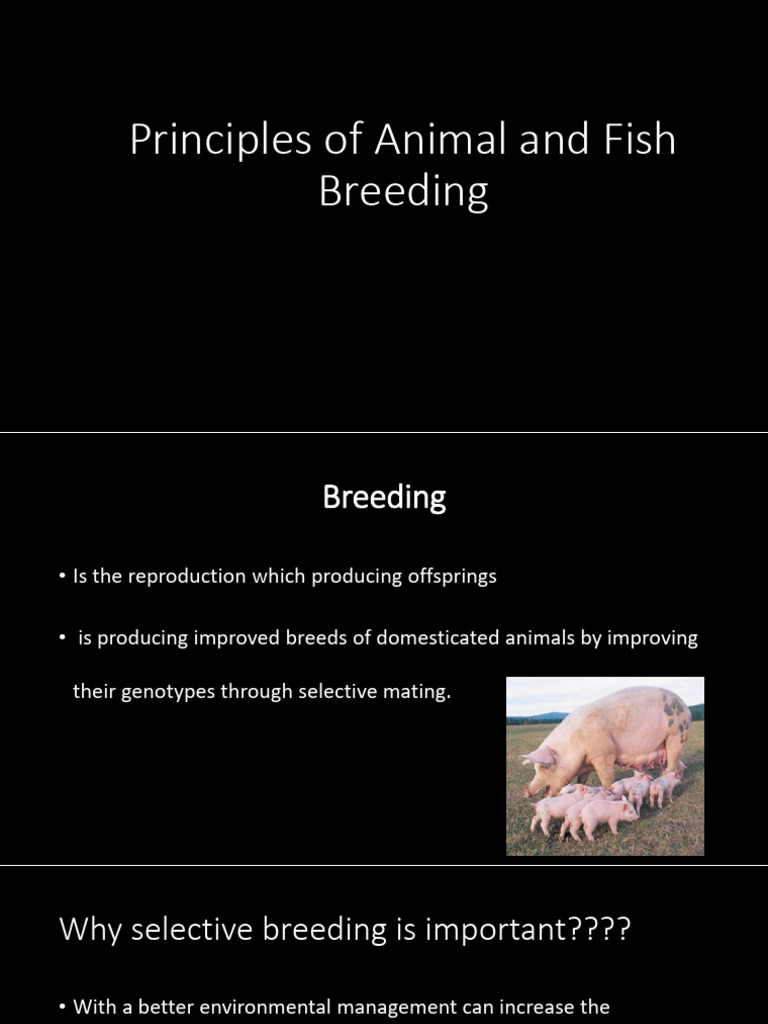 Animal and Fish Breeding Principles | PDF | Natural Selection ...