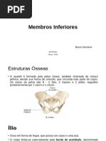 Anatomia do Osso Ilíaco e Pelve | PDF | Coluna vertebral | Pélvis