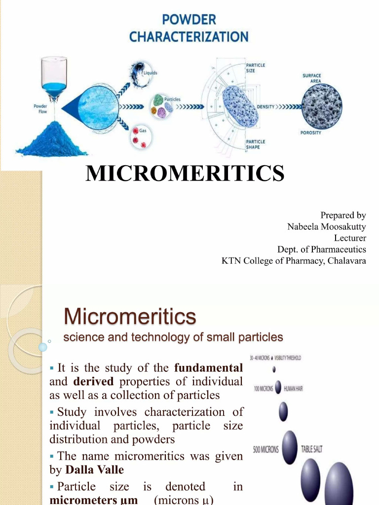 Micromeritics | PDF