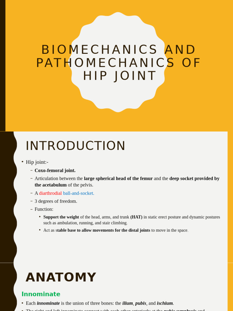 Biomechanics & Pathomechanics of Hip Joint | PDF | Pelvis | Hip