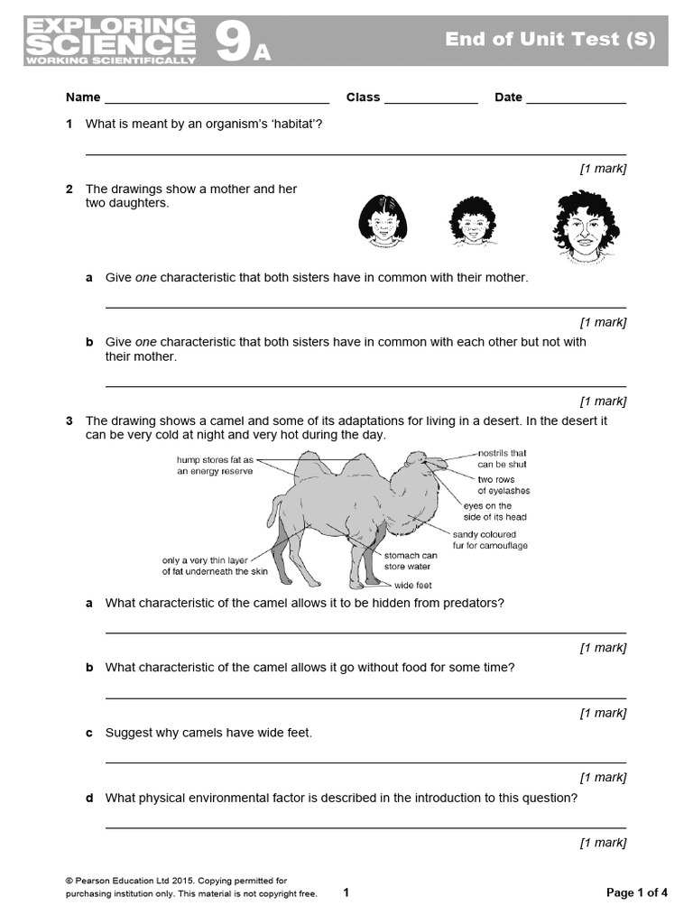 Year 9 Assessment Support Sample Unit 9aa | PDF | Genetics | Sperm
