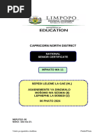 SESOTHO HL Grade 11 | PDF