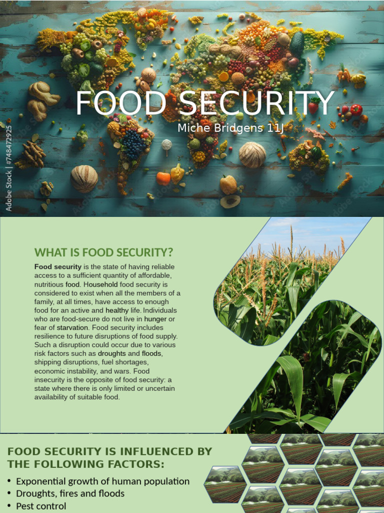 Miche's Food Security Powerpoint | PDF | Food Security | Agriculture