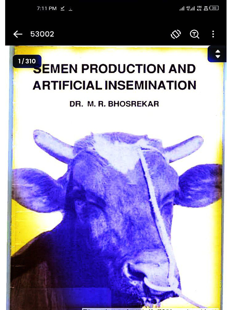 PDFReader 2024 | PDF