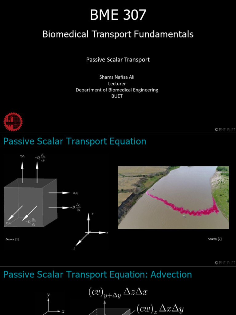 L5 - Passive Scalar Transport | PDF