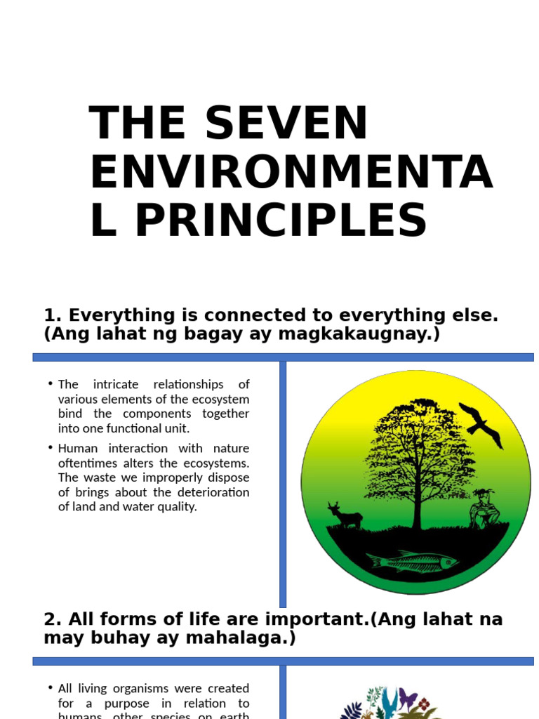 The Seven Environmental Principles | PDF | Nature | Ecosystem
