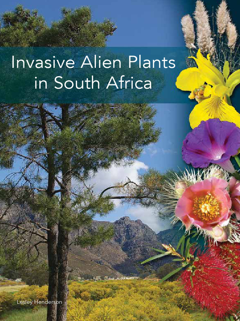 Invasive Alien Plants in South Africa | PDF | Invasive Species | Weed