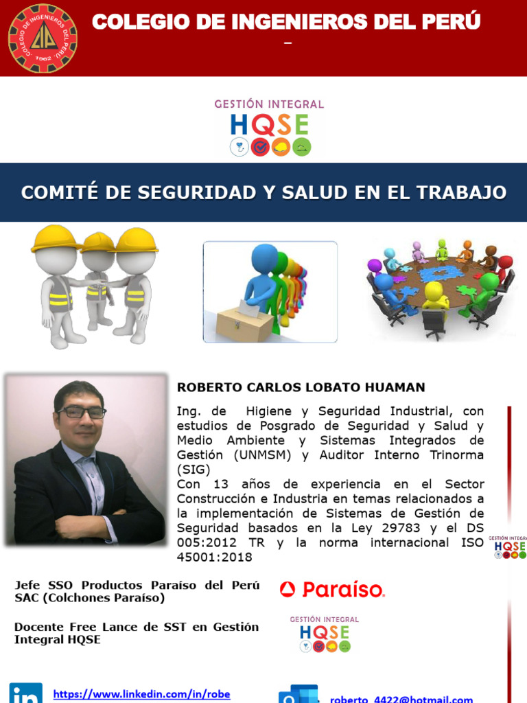 Comite de SST | PDF | Seguridad y salud ocupacional