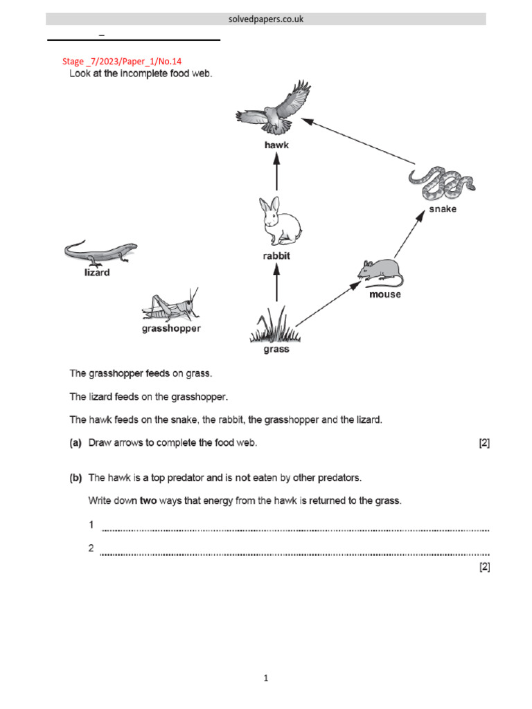 2023 2 Food Chain Checkpoint Sec 1 Progression Stage 7 | PDF | Wellness