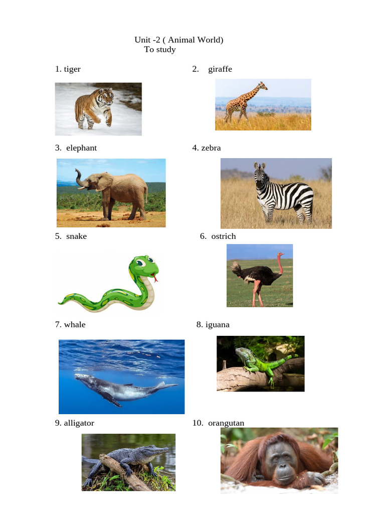 Unit - 2 Words To Study | PDF | Young Adult