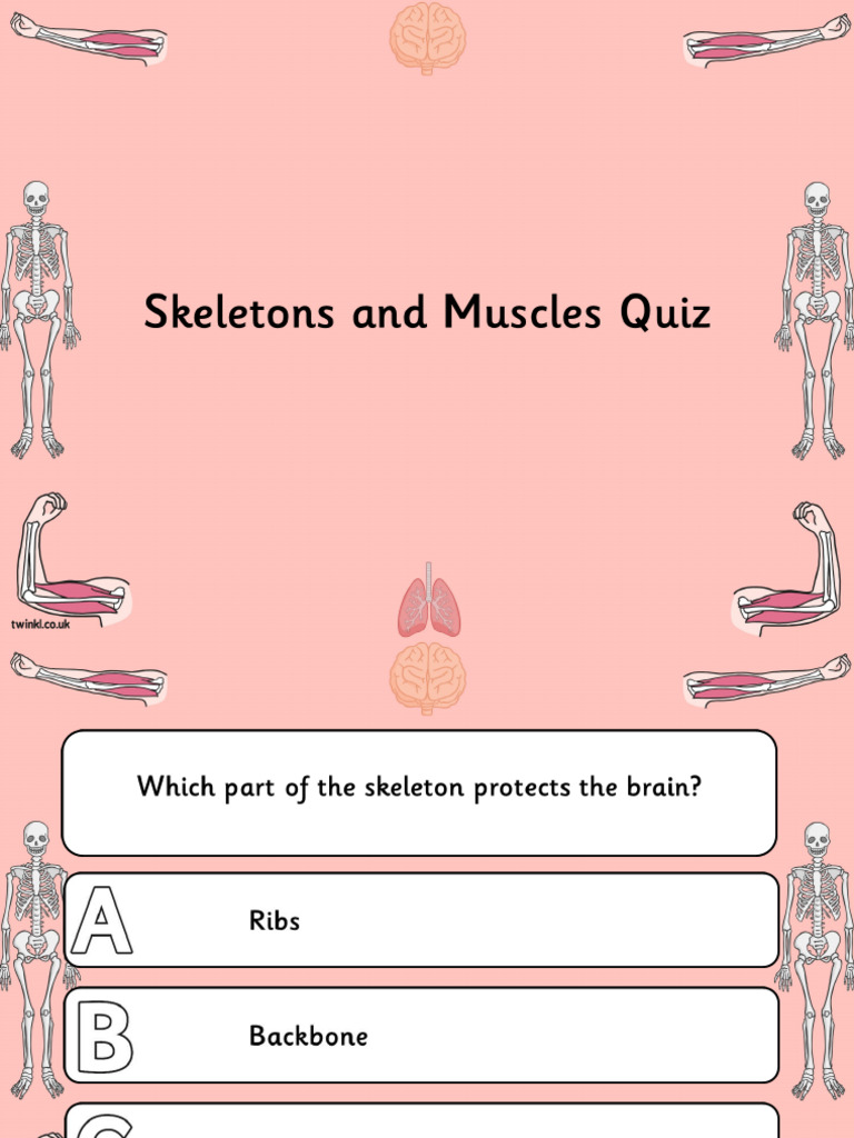 T2 S 326 Skeletons and Muscles Powerpoint Quiz | PDF | Science ...