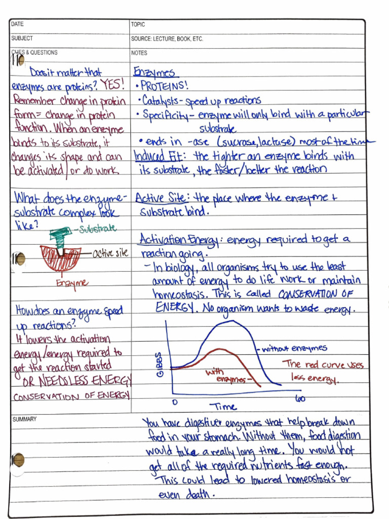 Energy Cornell Notes | PDF