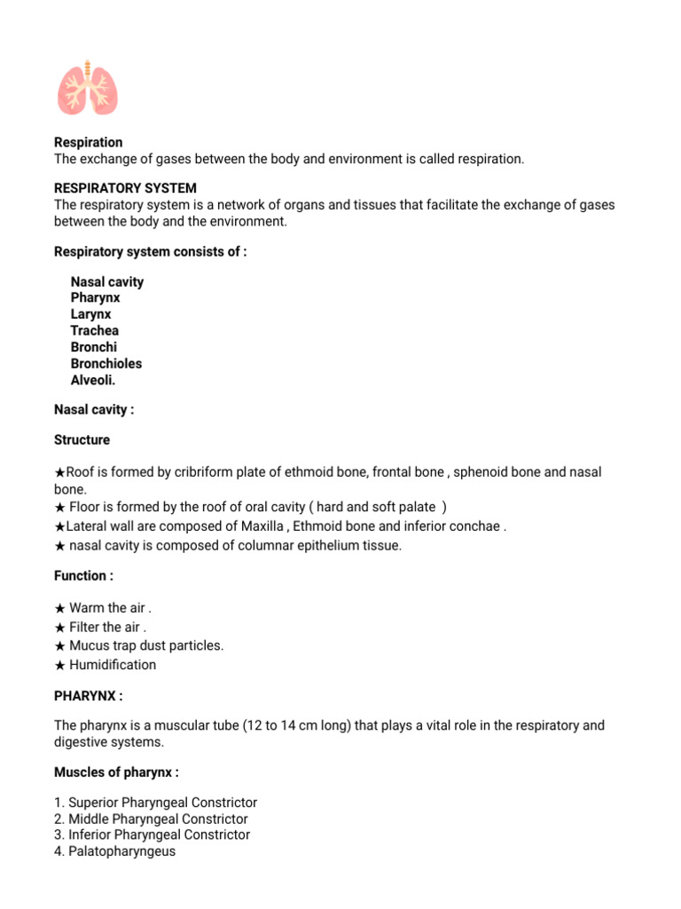 Respiratory System SMPPT | PDF | Lung | Respiratory Tract