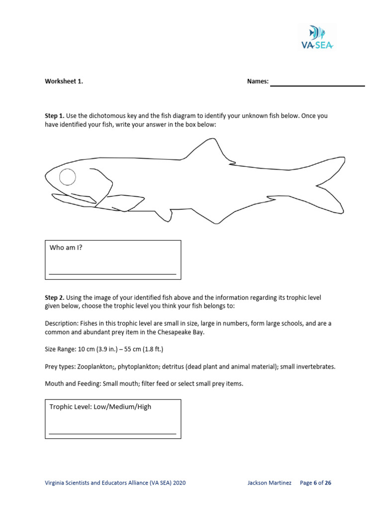 Dichotomous Key Assignment | PDF | Predation | Fish