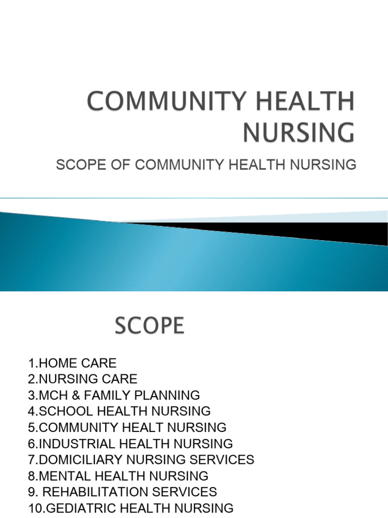 Community Health Nursing Services Overview | PDF
