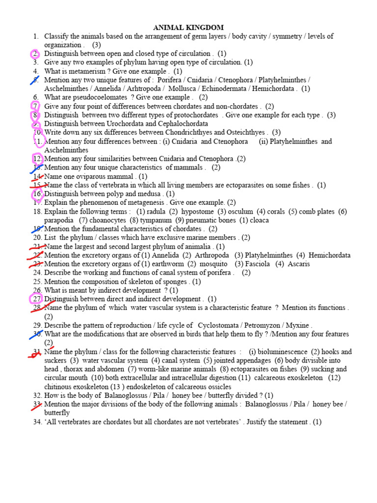Animal Kingdom | PDF | Science & Mathematics