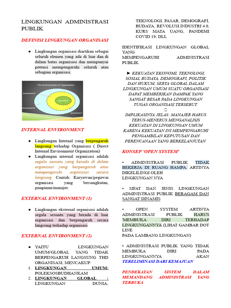 S1 - Sap 4 - Piap - Lingkungan Administrasi Publik | PDF