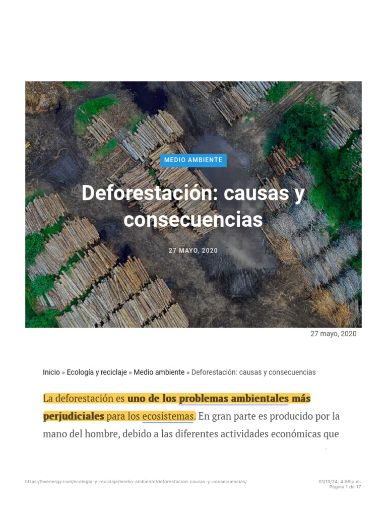 ¿Qué Es La Deforestación y Cuáles Son Sus Causas y Consecuencias? 2 ...