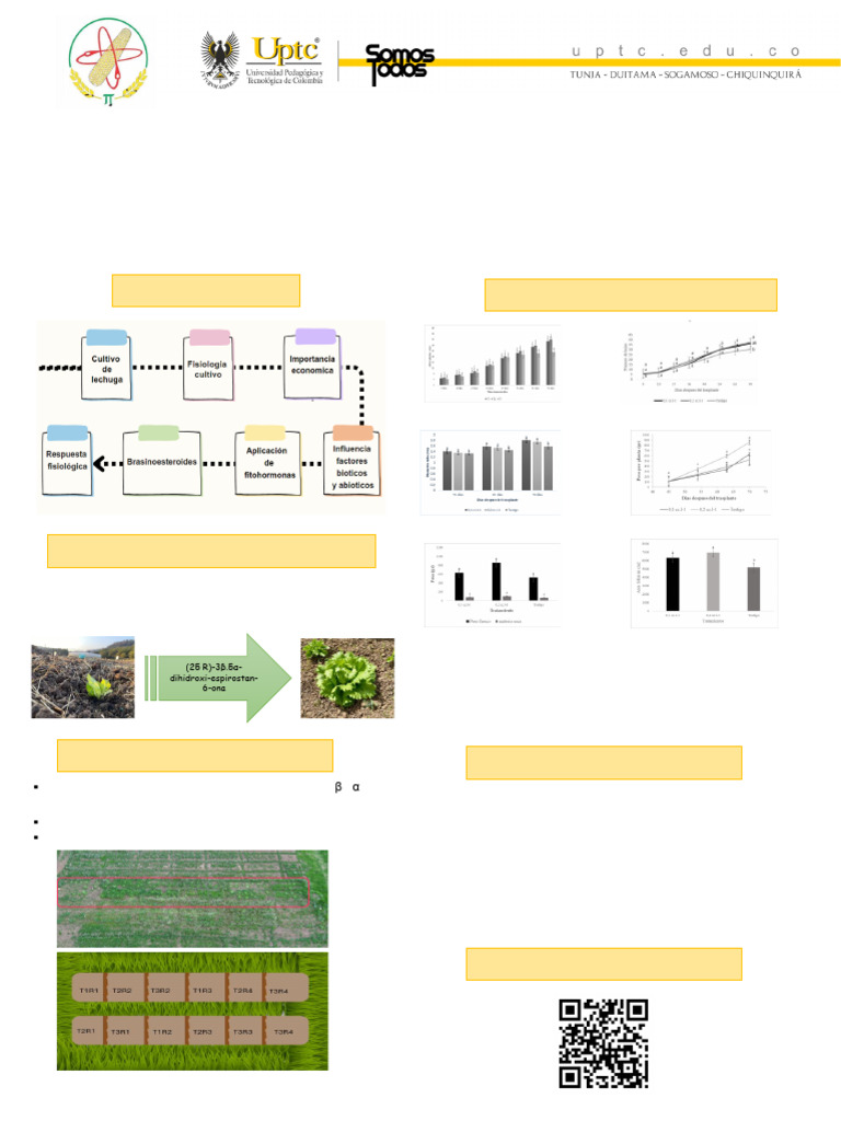 Poster Proyectos Integradores Fisio2 - Lechugas | PDF | Lechuga | Hormona Vegetal