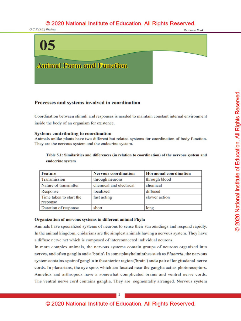 Unit 05 Part 2-Animal Form and Function-English | PDF