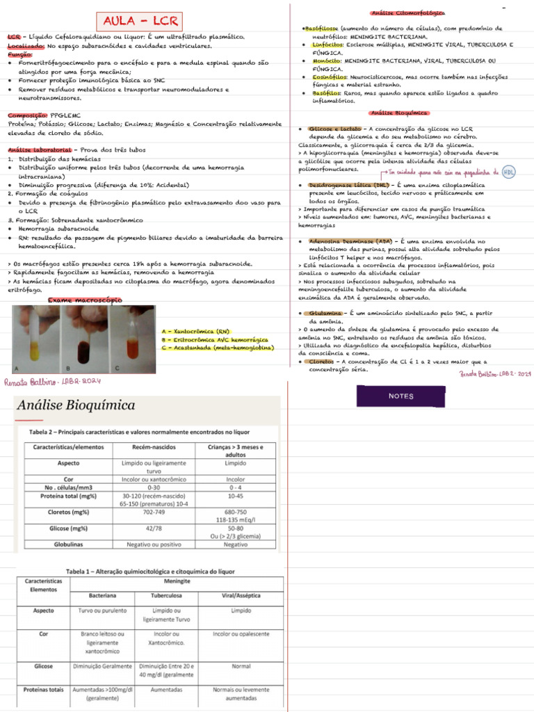 LCR - RESUMO 2 | PDF | Líquido cefalorraquidiano | Especialidades médicas