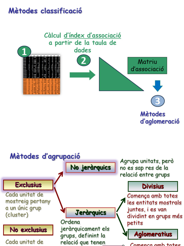 8 Clas - No - Jerã Rquica - 2023 | PDF