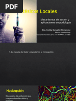 Onicectomía: Procedimiento y Cuidados | PDF | Clavo (anatomía) | Dedo ...