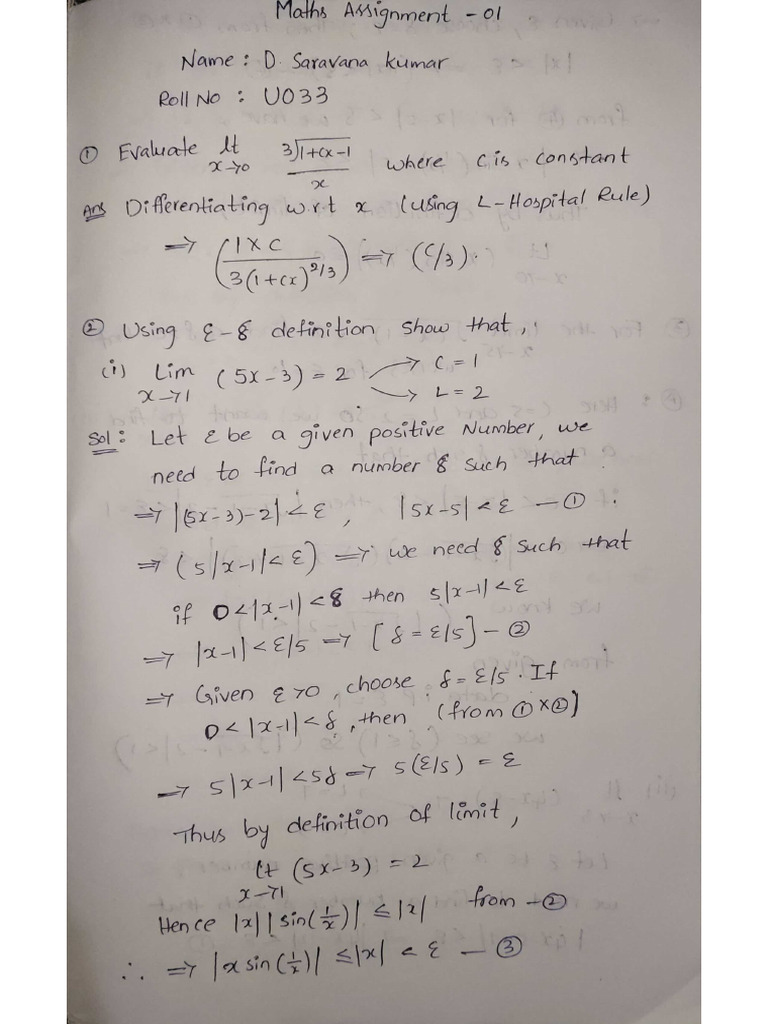 Math Assignment 1 | PDF