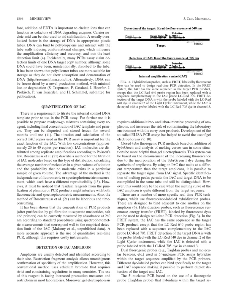 Hoorfar Et Al 2004.full 4 | PDF | Polymerase Chain Reaction | Real Time ...