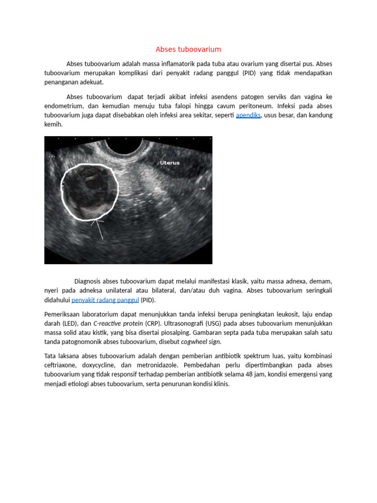 Abses Tuboovarium | PDF | Perjalanan