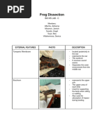 Frog Digestive System Dissection Guide | PDF | Gastrointestinal Tract ...