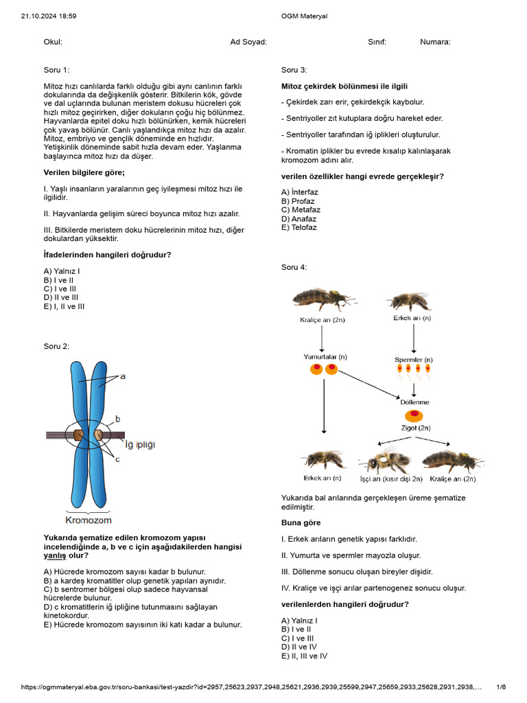 OGM Materyal | PDF