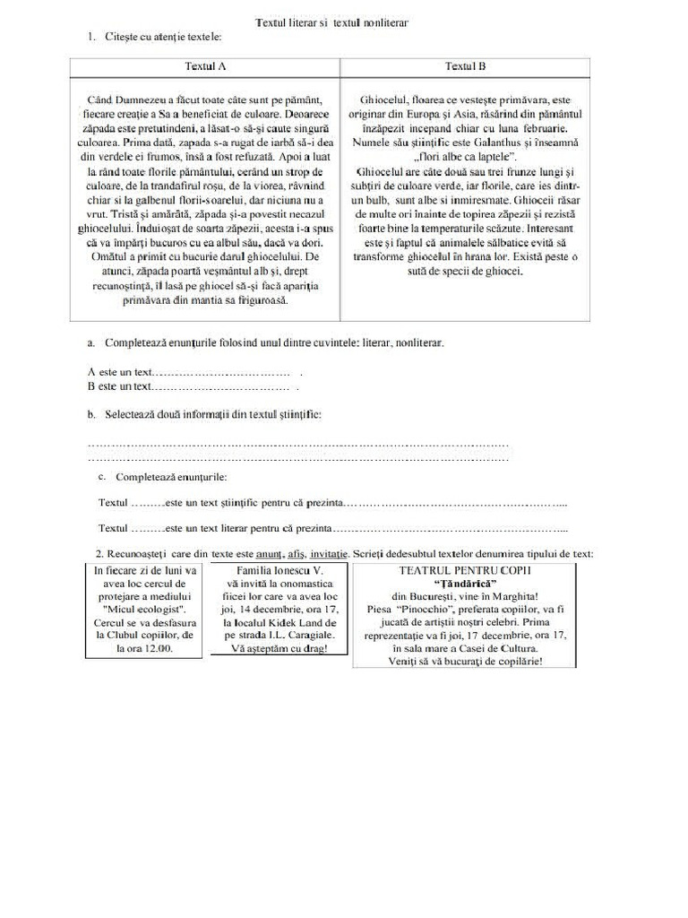 Text Literar Nonl Fisa | PDF