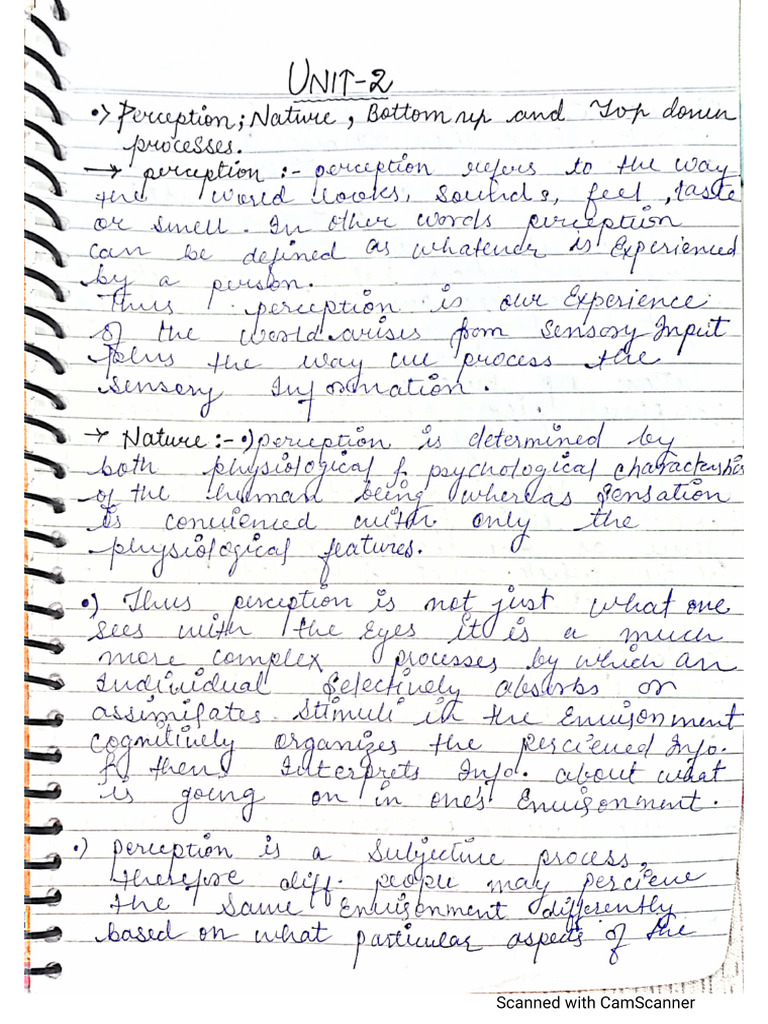 Cognition Unit 2 | PDF