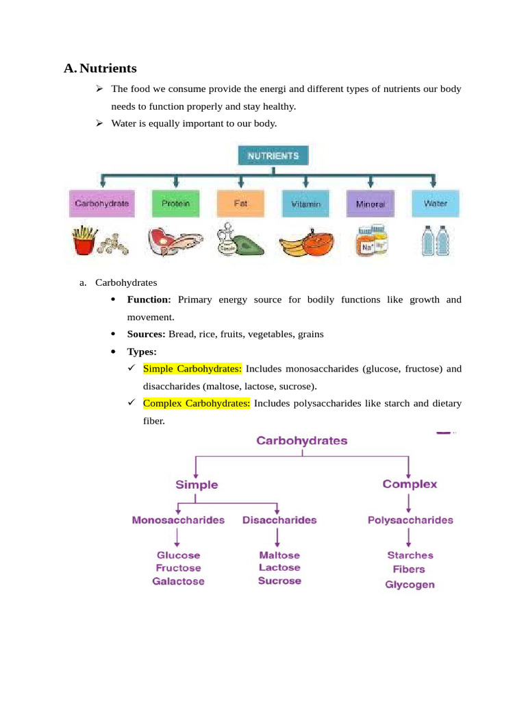 Digestive system Notes | PDF | Stomach | Digestion
